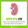 크레아티닌수치 높으면 신장이 보내는 경고 네이버 블로그